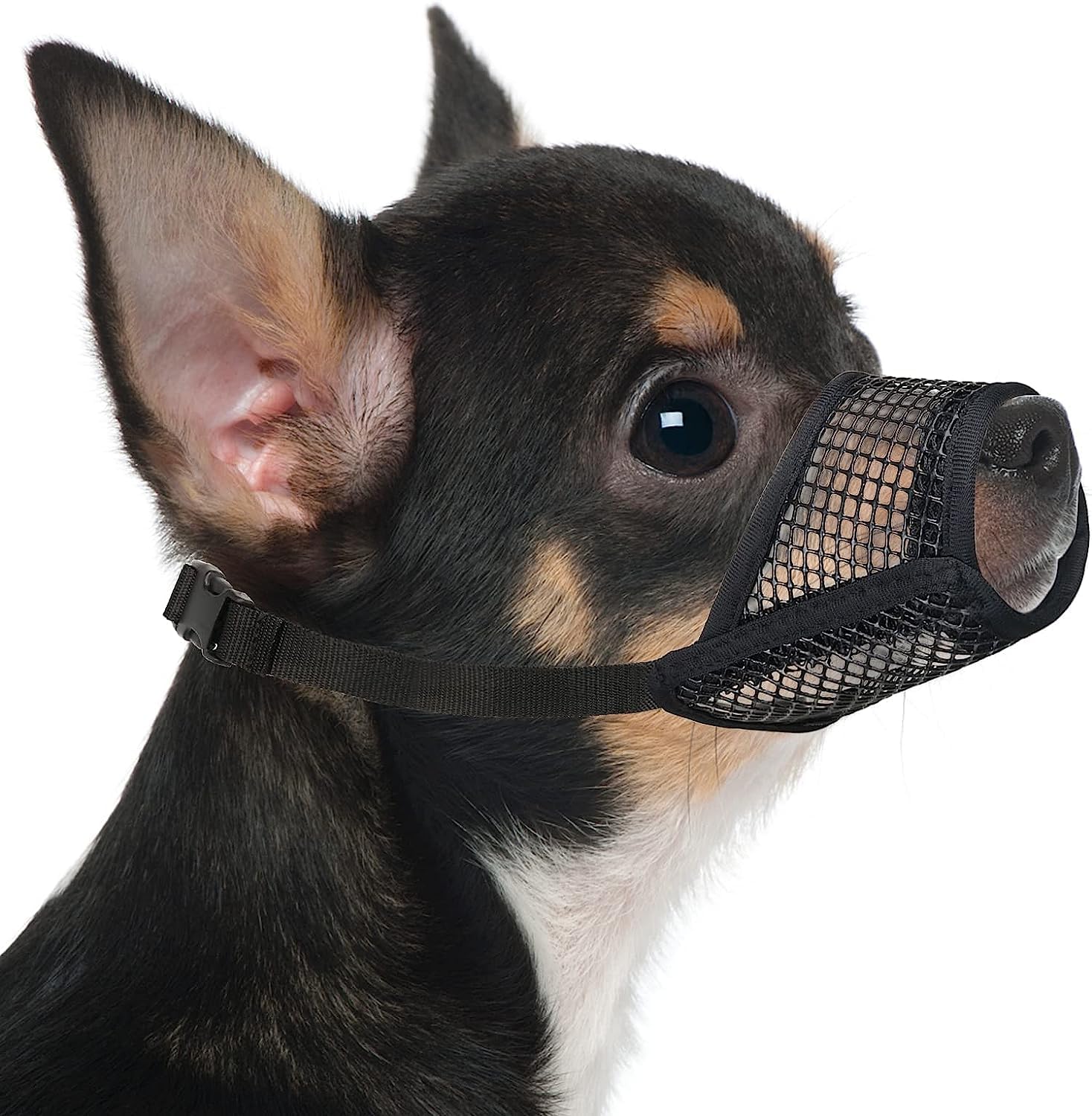 Amazon.com : Downtown Pet Supply - Quick-Fit Dog Muzzle for Grooming ...