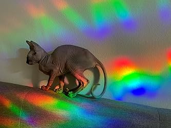 Amazon.com: Rainbow Symphony – Rainbow Suncatcher Window Film ...