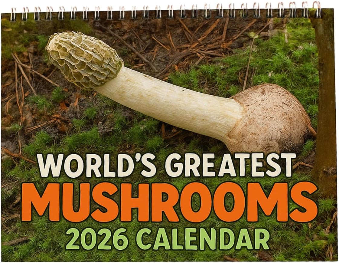 Amazon.com: World's Greatest Mushrooms - 2026 Wall Calendar, Funny ...