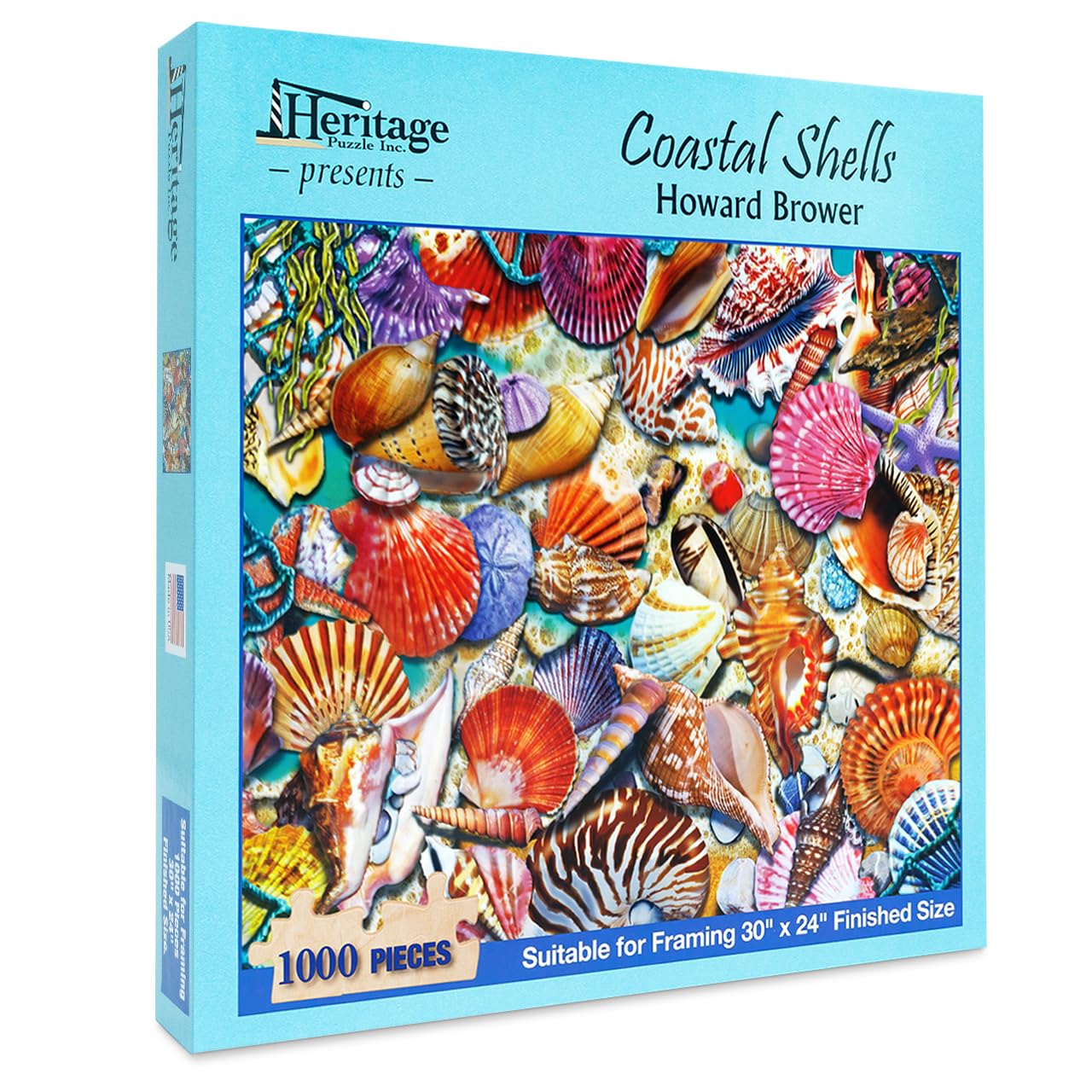 Amazon.com: Heritage Puzzle Coastal Shells Jigsaw Puzzle for Adults ...