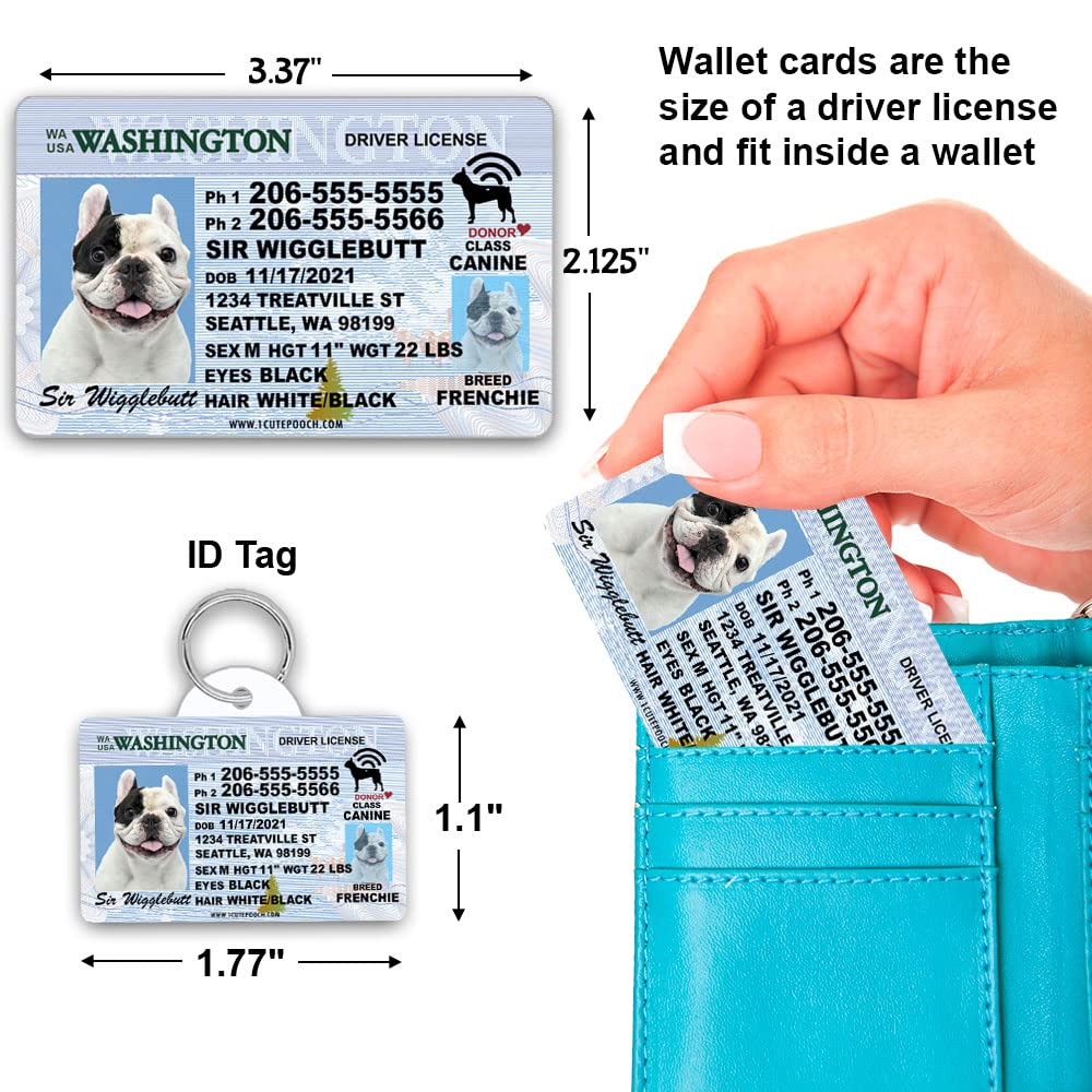 How Do I Get A Dog License In Seattle