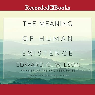 Amazon.com: The Meaning of Human Existence (Audible Audio Edition ...