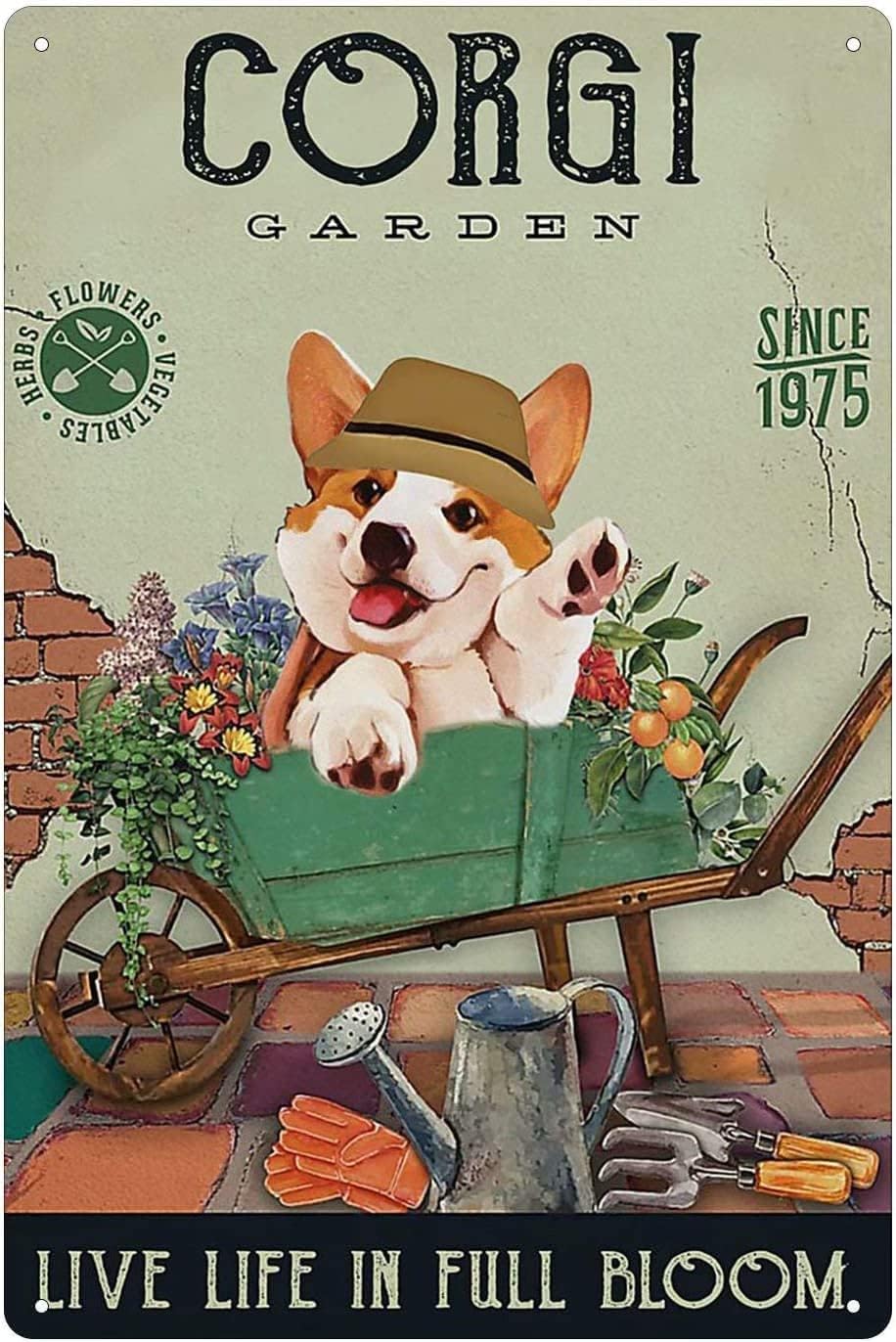 Amazon.com: Vintage Poster Metal Sign Corgi Garden Live Life In Fill ...