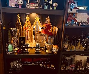 Amazon.com: The Noble Collection Harry Potter Fawkes Collector Plush ...