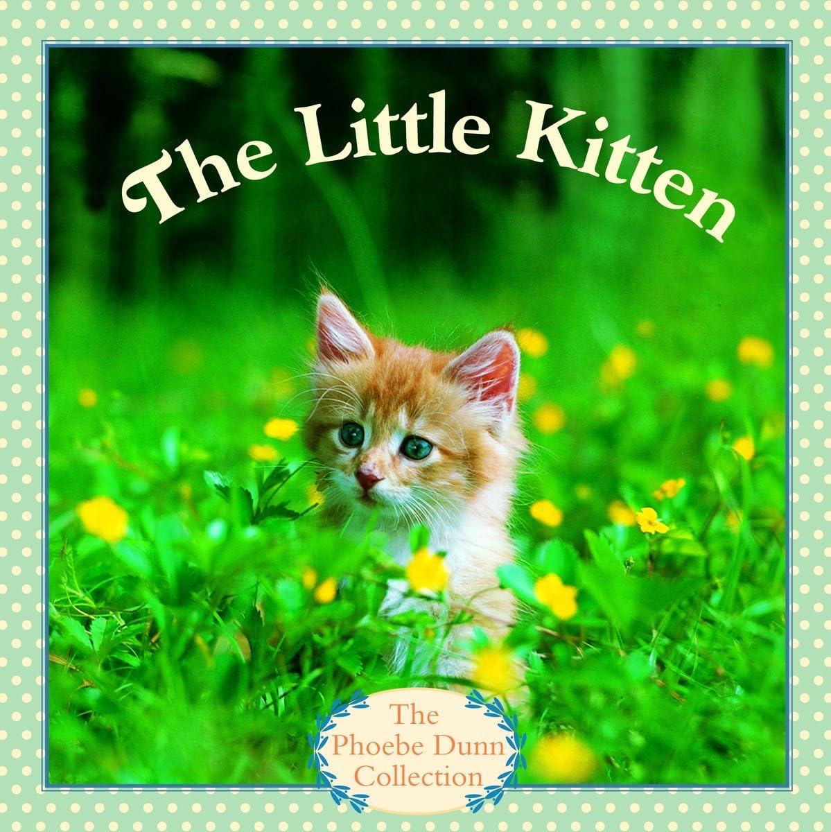 The Little Kitten : Dunn, Judy, Dunn, Phoebe: Amazon.ca: Books