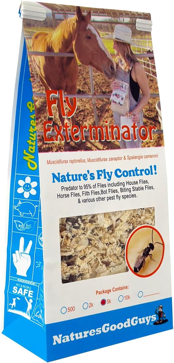 Amazon.com : Fly Control - 5,000 Fly Exterminators (Guaranteed Live ...