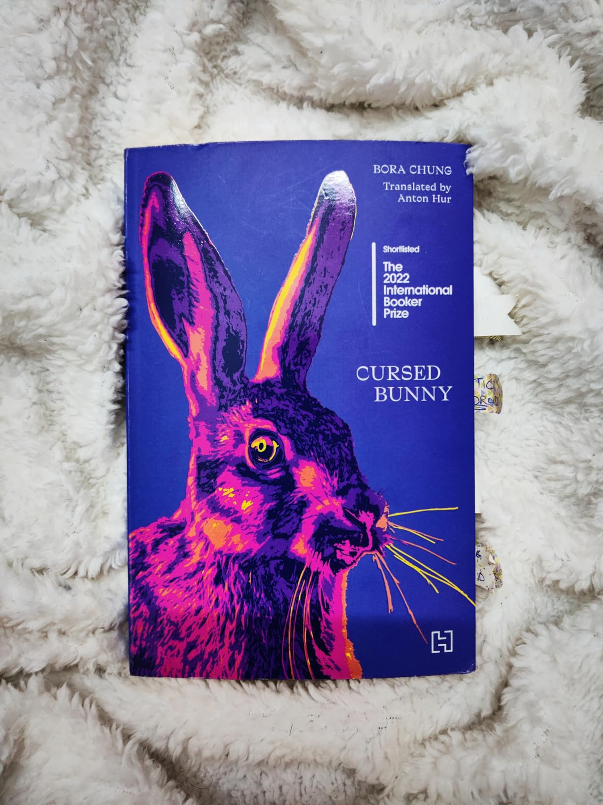 Buy CURSED BUNNY [Paperback] Bora Chung and Anton Hur Book Online at Low Prices in India ...