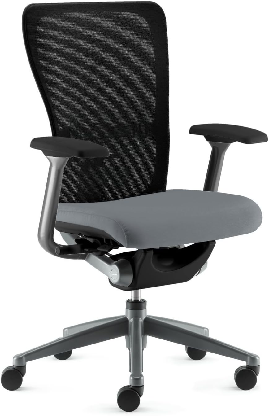 Amazon.com: Haworth Zody Task Chair Basic Model - FWD Tilt - Fixed Arms ...