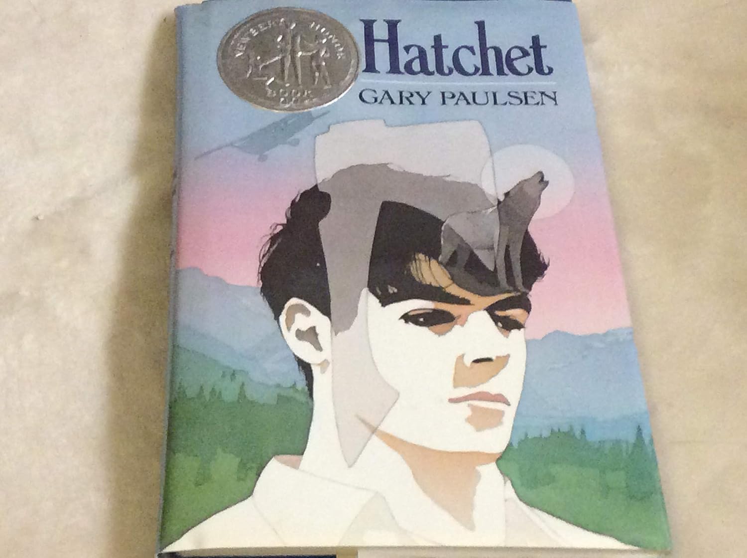 Hatchet: Gary Paulsen: 9780027701302: Amazon.com: Books