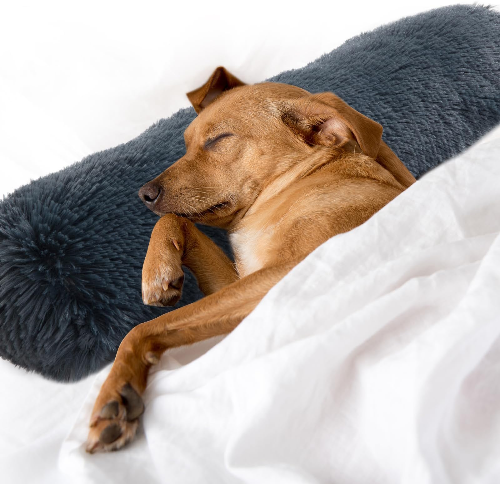 Amazon.com : BALAPET Fluffy Dog Pillows for Large Dogs, 25In Plush Pet ...