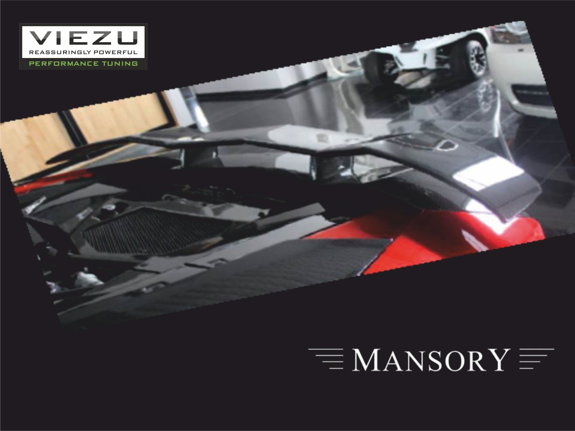 Buy Mansory Aventador Rear Wing Spoiler Online at desertcartINDIA