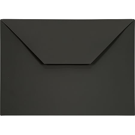 Amazon.com : Lion Design-R-Line Poly Envelope, 9-3/8 x 13 Inches ...