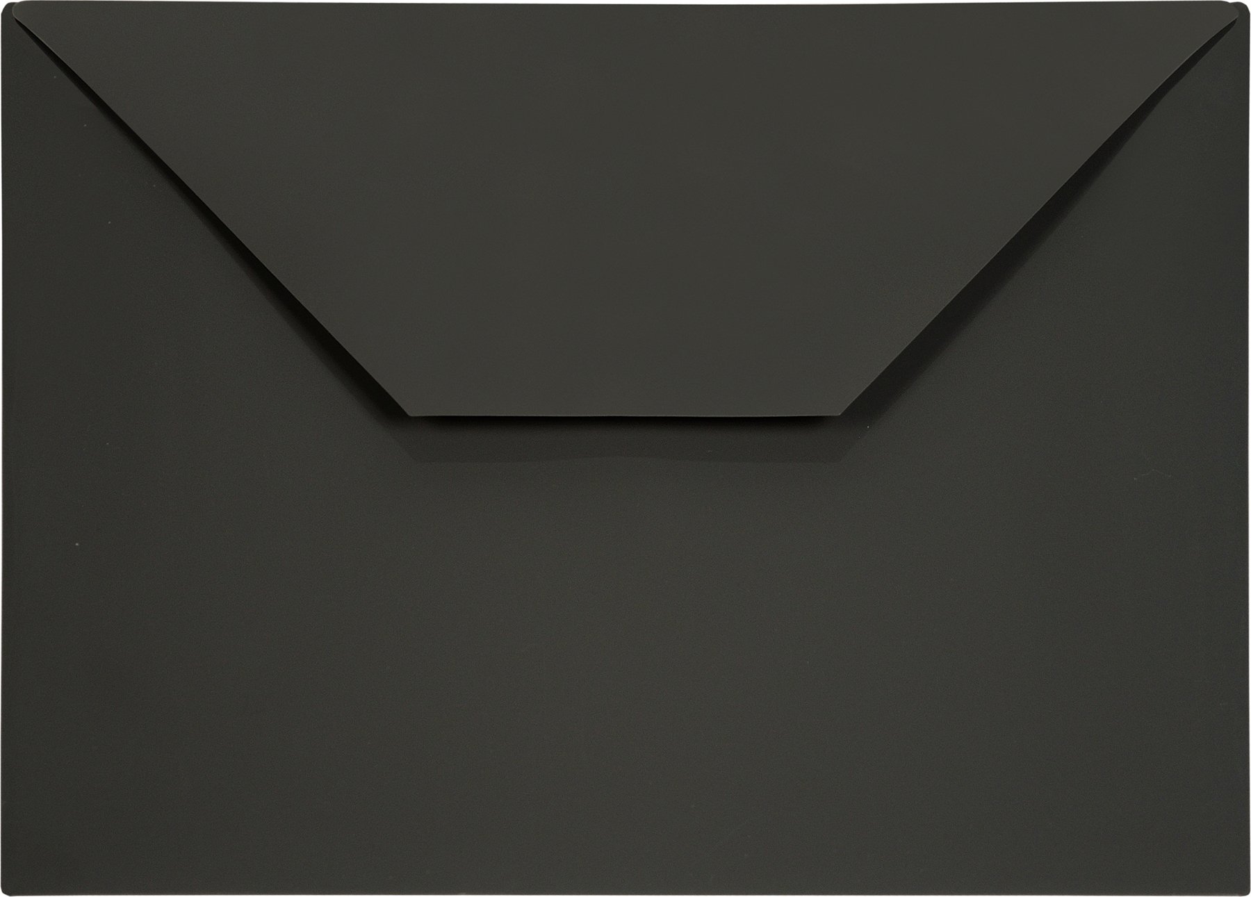 Amazon.com : Lion Design-R-Line Poly Envelope, 9-3/8 x 13 Inches ...