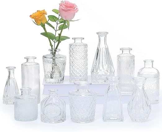 Amazon.com: HERRYPLS Glass Bud Vase Set of 12, Small Rectangular Glass ...