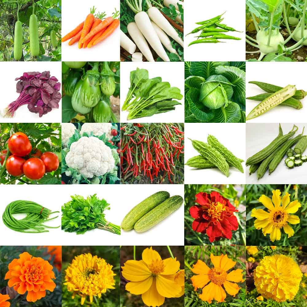 Flower Types Of Vegetables 11 Best Vegetable Chart Ideas | Vegetable