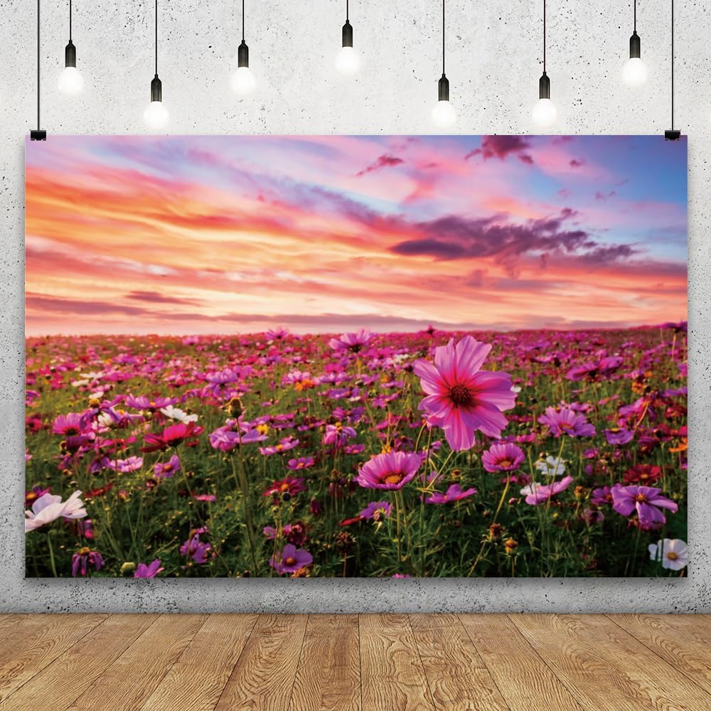 Amazon.com : YongFoto Wildflower Backdrop 7x5ft Flower Field Sky ...