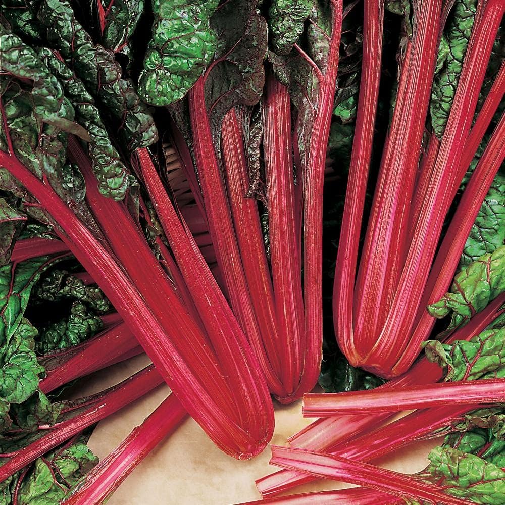 Amazon.com : 200 Pcs Seeds Rhubarb Crown Ready to Plant - Perennial ...