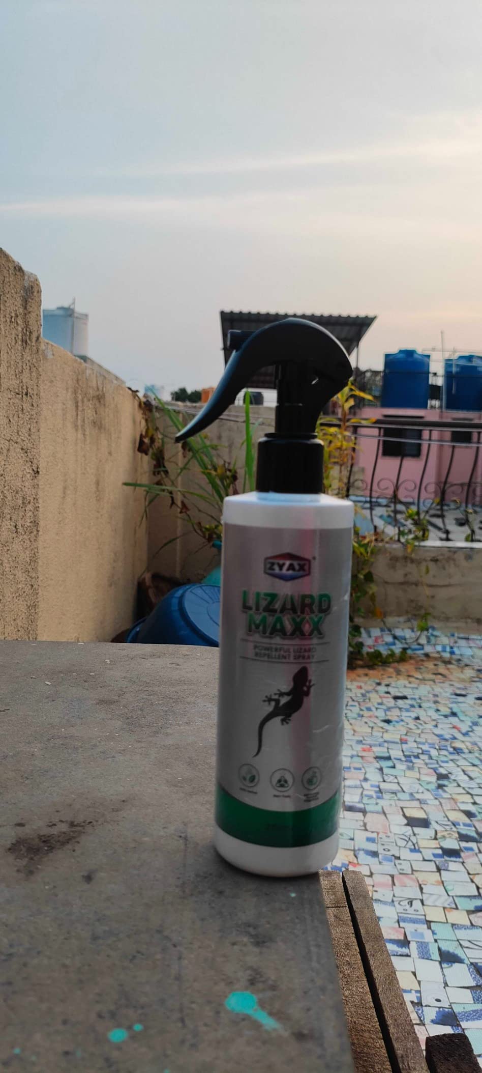 ZYAX Lizard Maxx, 250ml, Pack of 1, Powerful & Herbal Repellent Spray ...