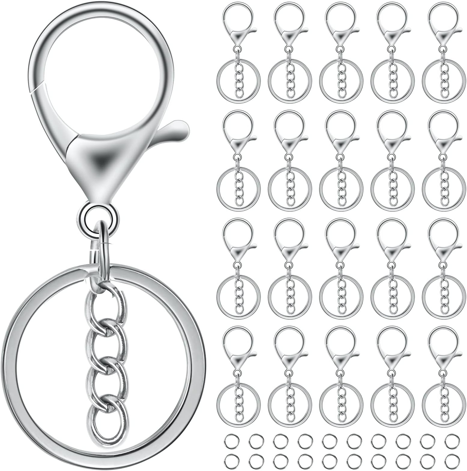 Didilor 100Pcs Swivel Lobster Clasps & Key Ring Hoops with Plastic Box ...