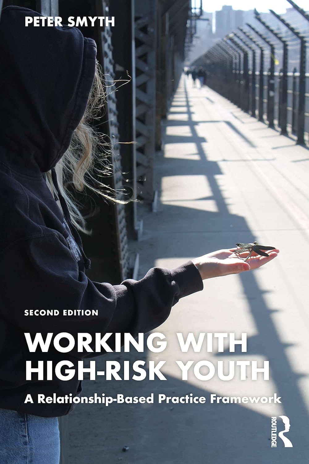 Working with High-Risk Youth: A Relationship-Based Practice Framework ...