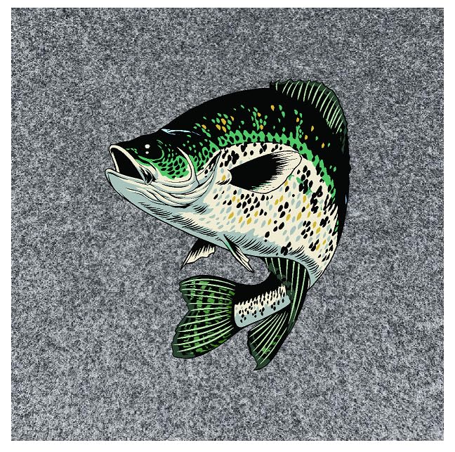 Amazon.com: Crappie White Perch FISHING BASS BOAT CARPET DECALS ...