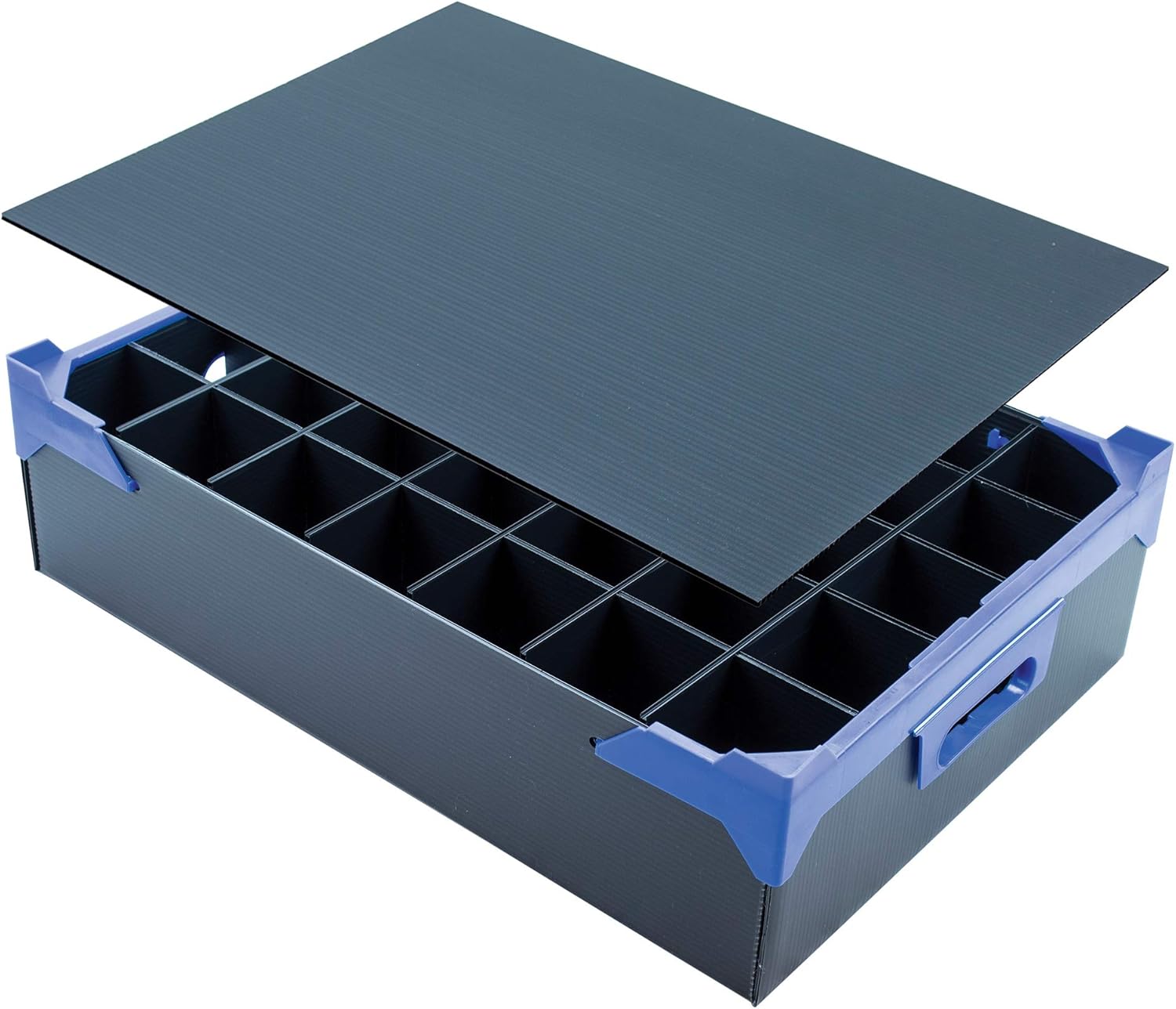 Caterbox Slim Jim Glass Storage Box - 160mm High (35 Cells + Lid) Cells ...