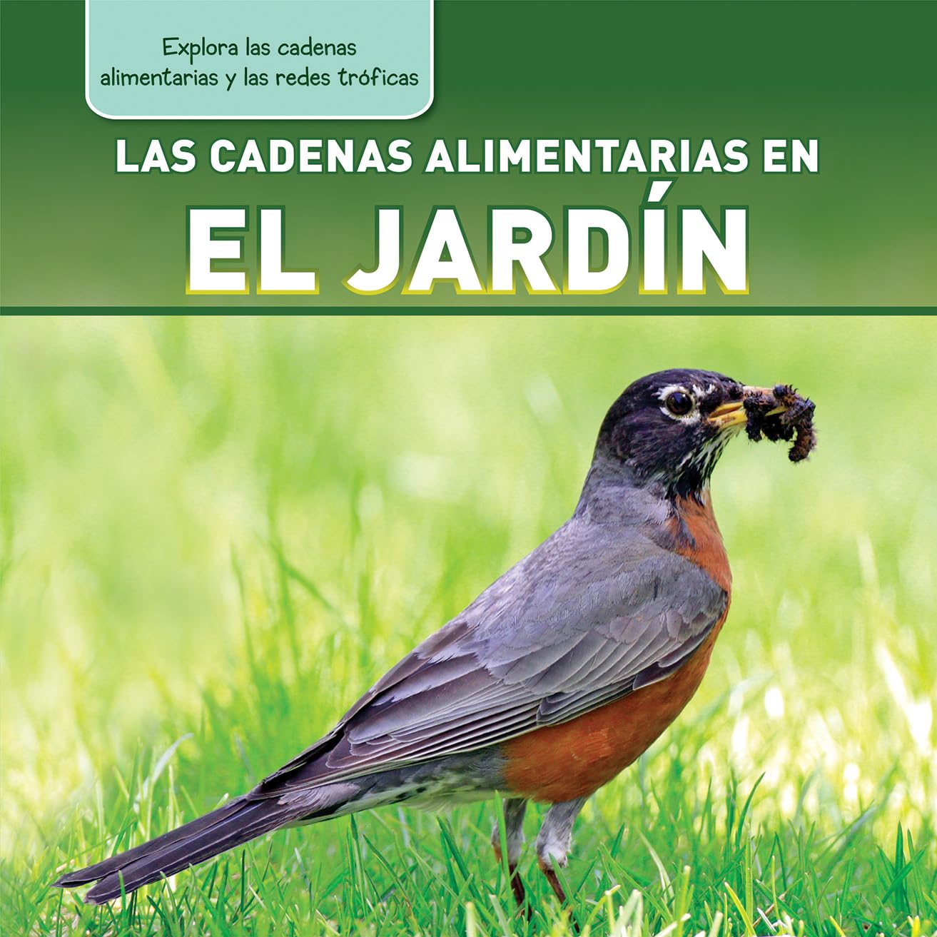 Las cadenas alimentarias en el jardín / Backyard Food Chains (Explora ...