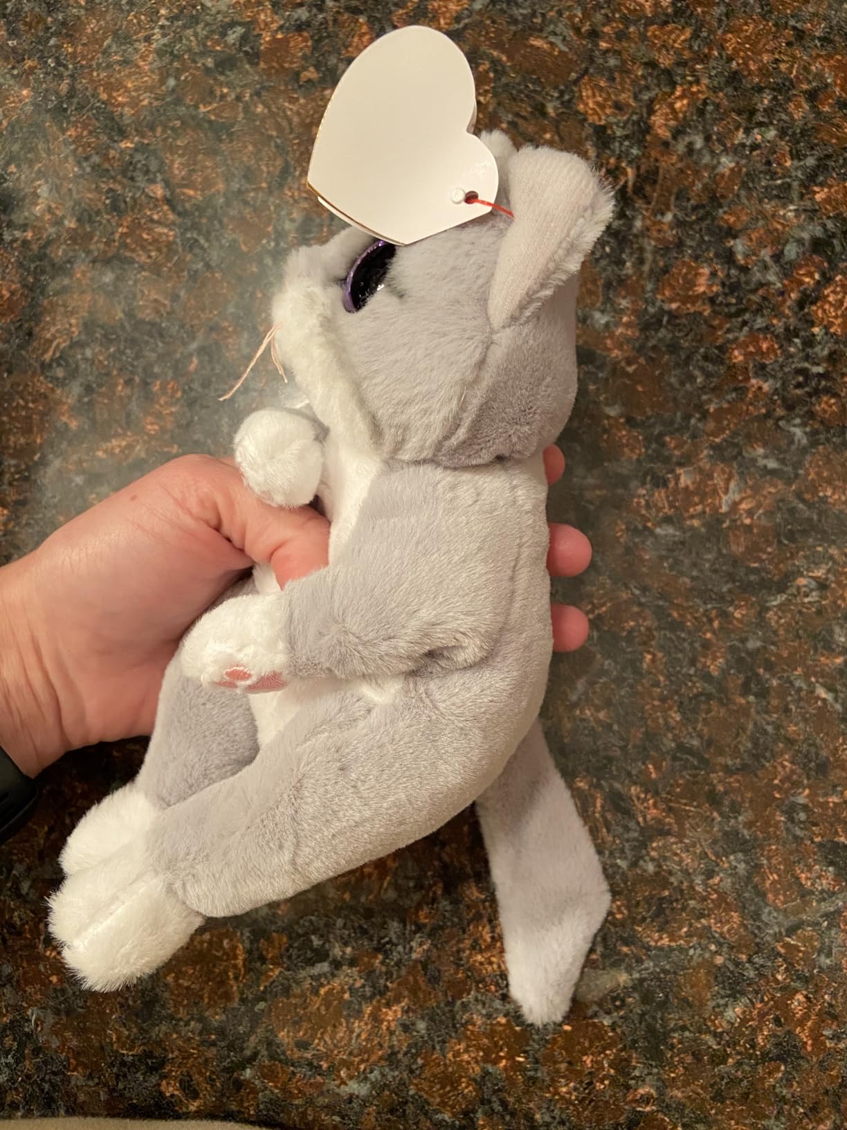 Amazon.com: Ty Beanie Bellies Small - Morgan The Cat : Toys & Games