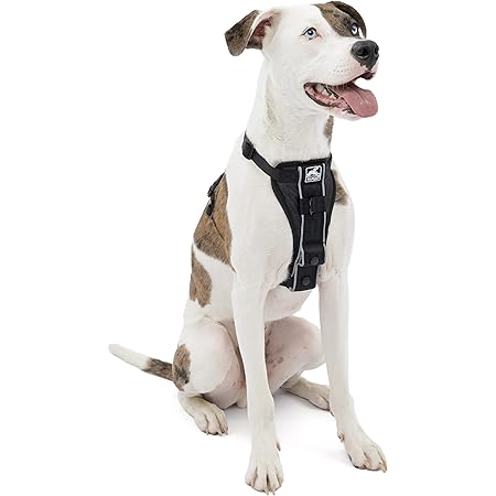Kurgo Tru-Fit Smart Dog Harness with Quick Release Buckles, Easy ...