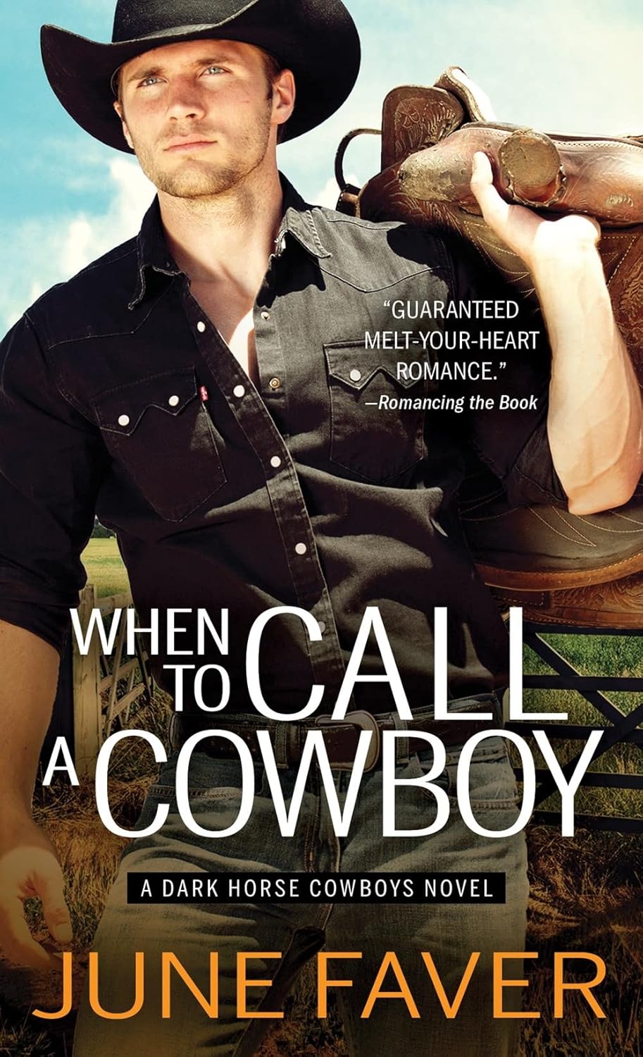 When to Call a Cowboy (Dark Horse Cowboys, 3): Faver, June ...