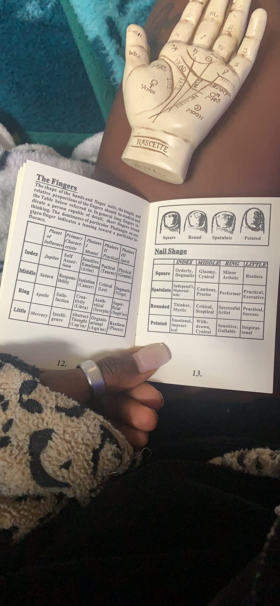 $3/mo - Finance Palmistry Hand Model Resin Sculpture Fortune Telling ...