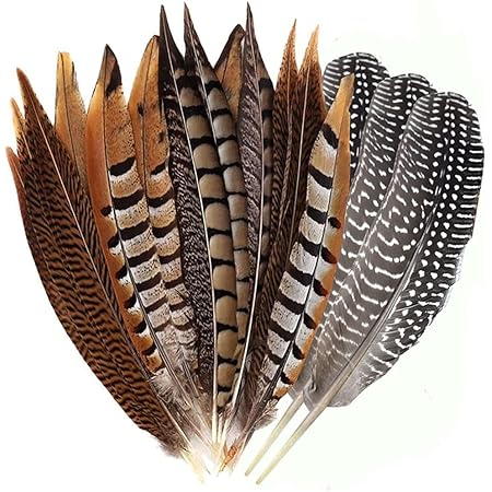 Amazon.com: 300pcs 10 Style Natural Feathers Assorted Mixed Feathers ...