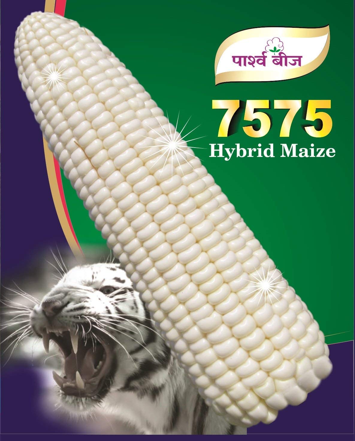 White Maize Seeds