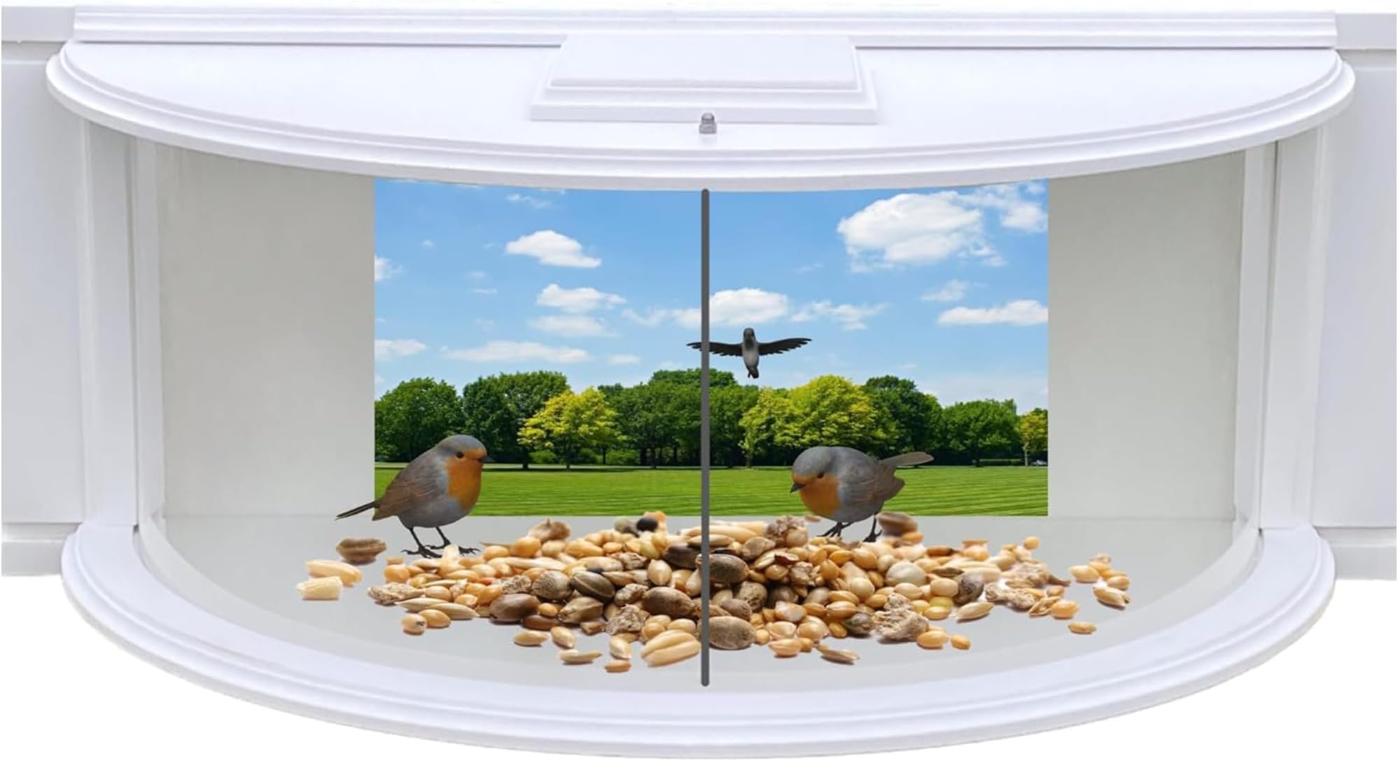 Amazon.com : Clearview Window Bird Feeder : Patio, Lawn & Garden