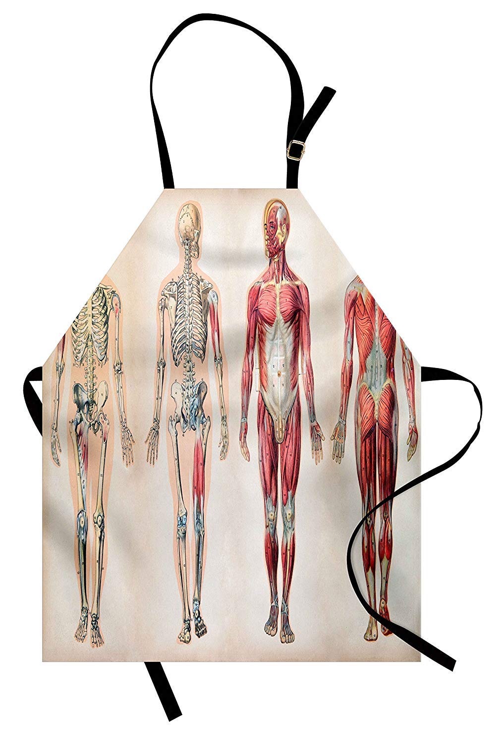 Buy YANAN Human Anatomy Apron, Vintage Chart of Body Front Back ...