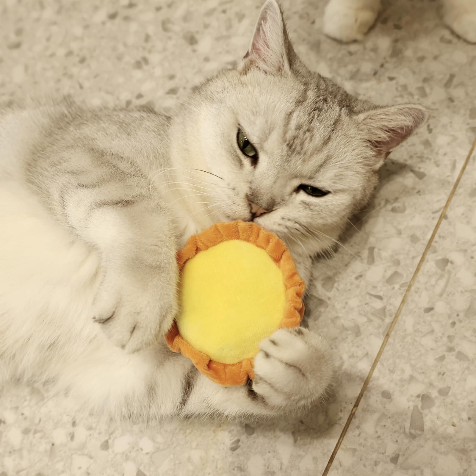Snapklik.com : Dim Sum Play Food Catnip Toys Xiao Long Bao Dumpling Siu ...