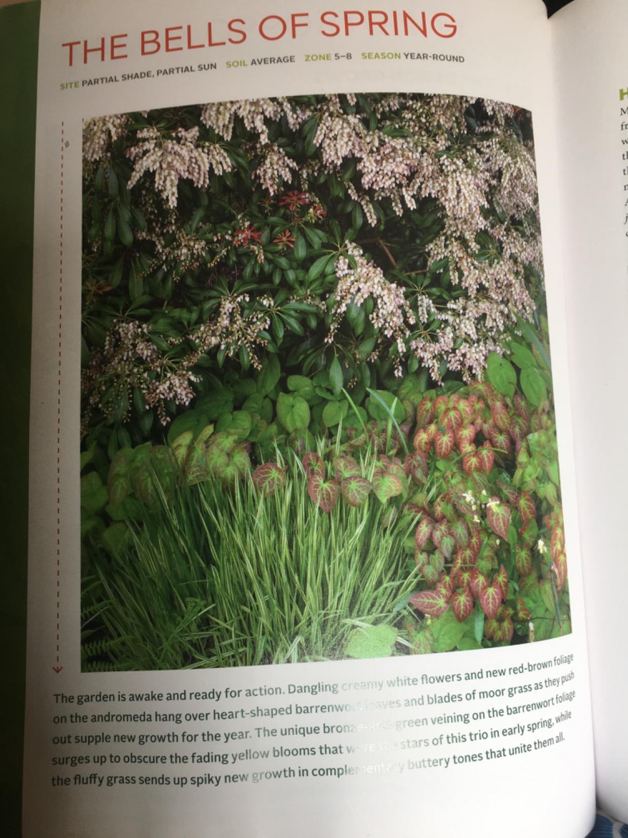 Gardening with Foliage First: 127 Dazzling Combinations That Pair the ...