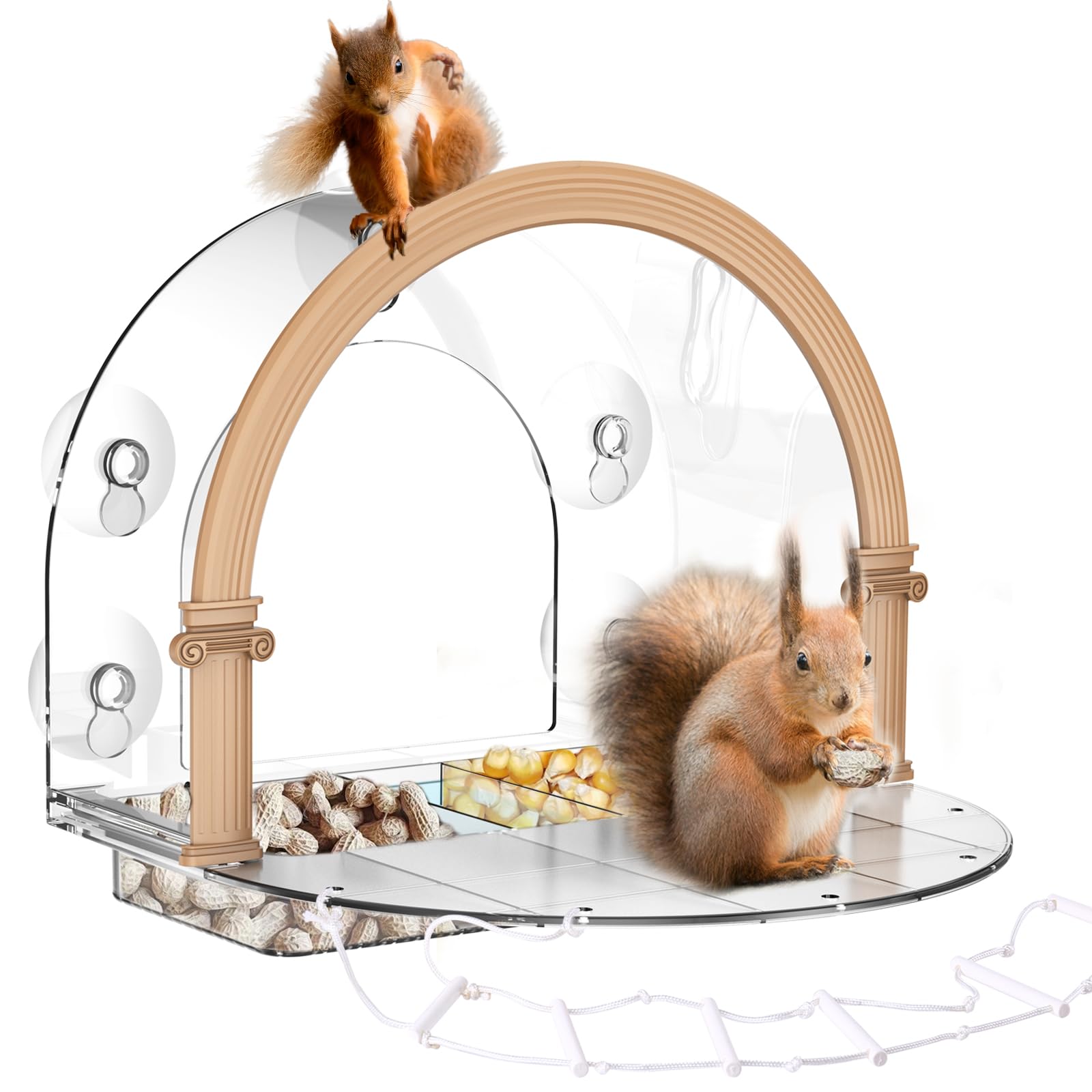 Amazon.com : Window Squirrel Feeder, Large Squirrel Feeder for Outside ...