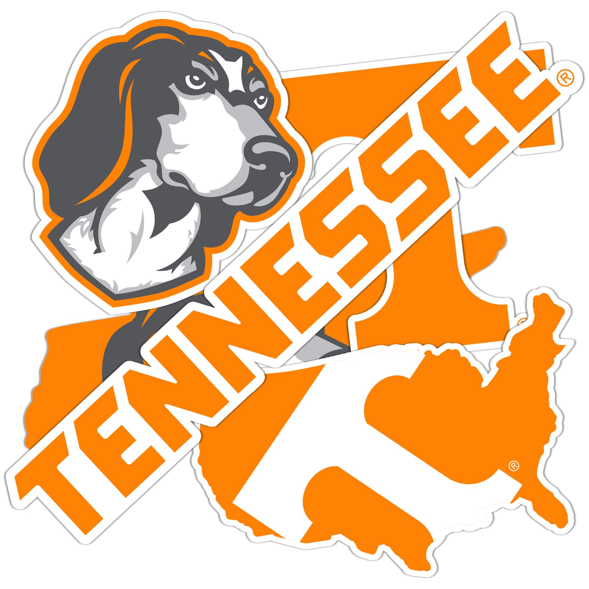 Amazon.com: Desert Cactus University of Tennessee Stickers UT Knoxville ...