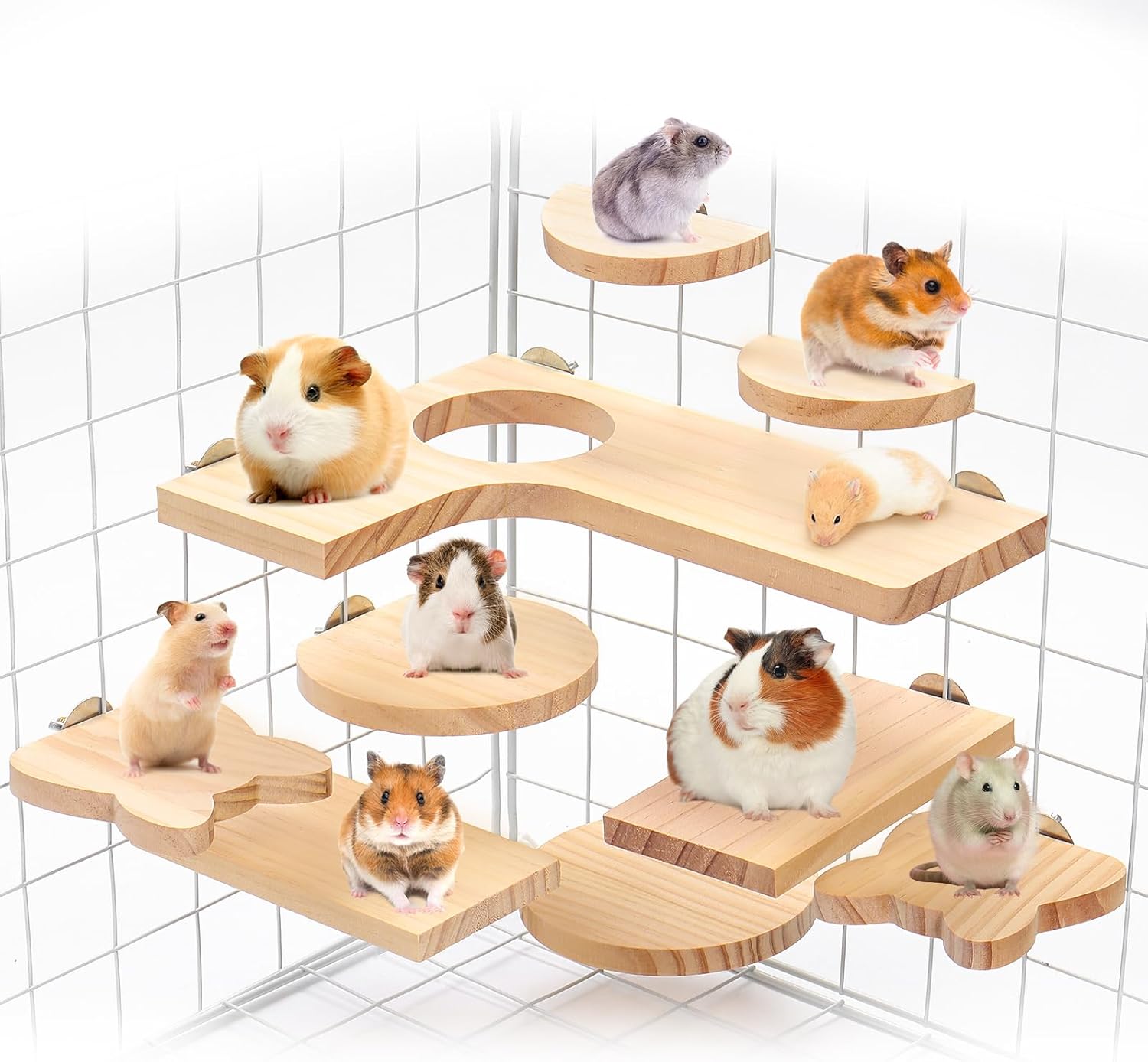 Amazon.com : 9Pcs Hamster Cage Platform Wooden Accessories Chinchilla L ...