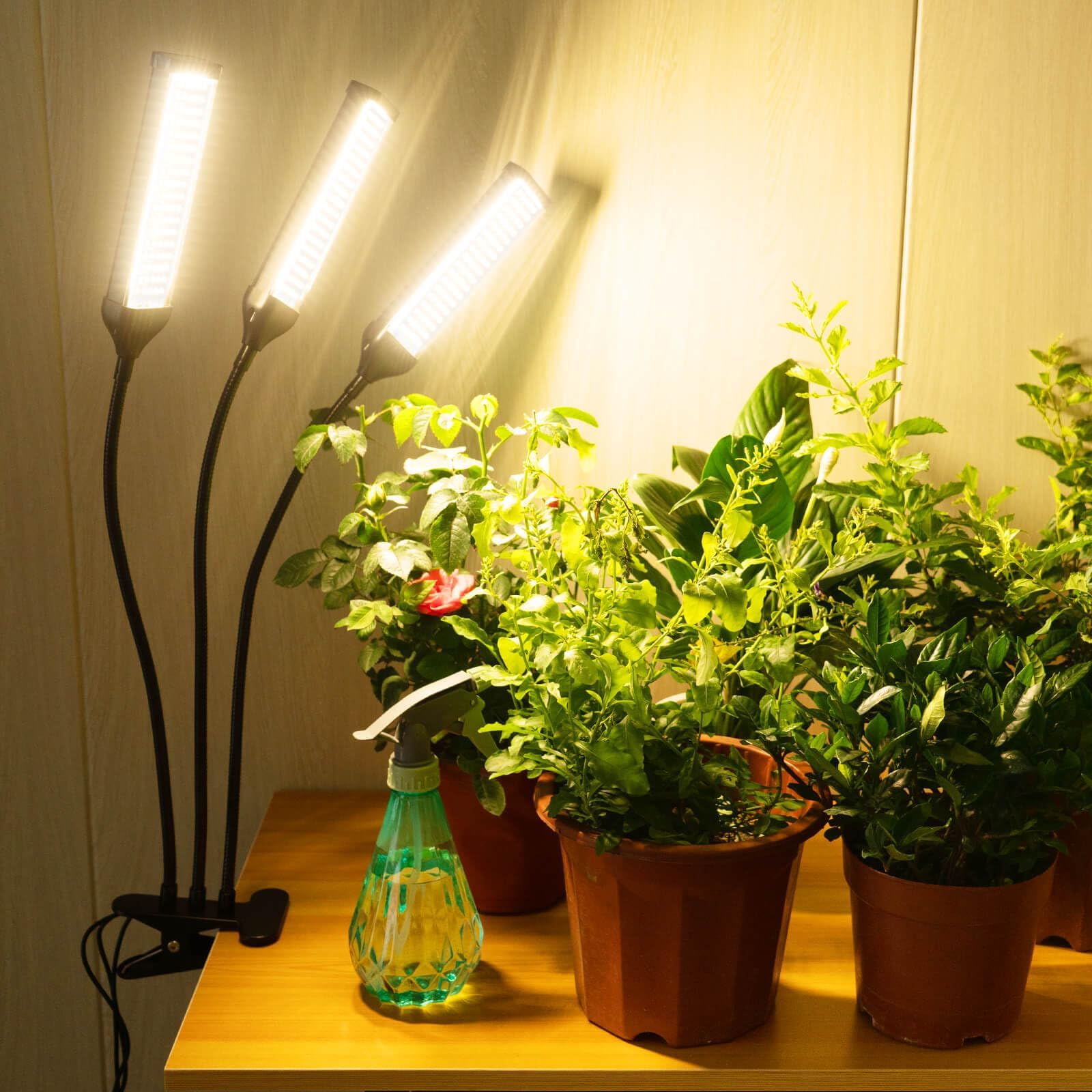 Amazon.com: Aukphie Grow Lights for Indoor Plants, Full Spectrum led ...