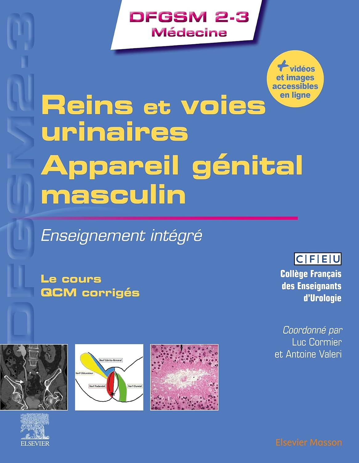 REINS ET VOIES URINAIRES - APPAREIL GÉNITAL MASCULIN: CORMIER LUC ...