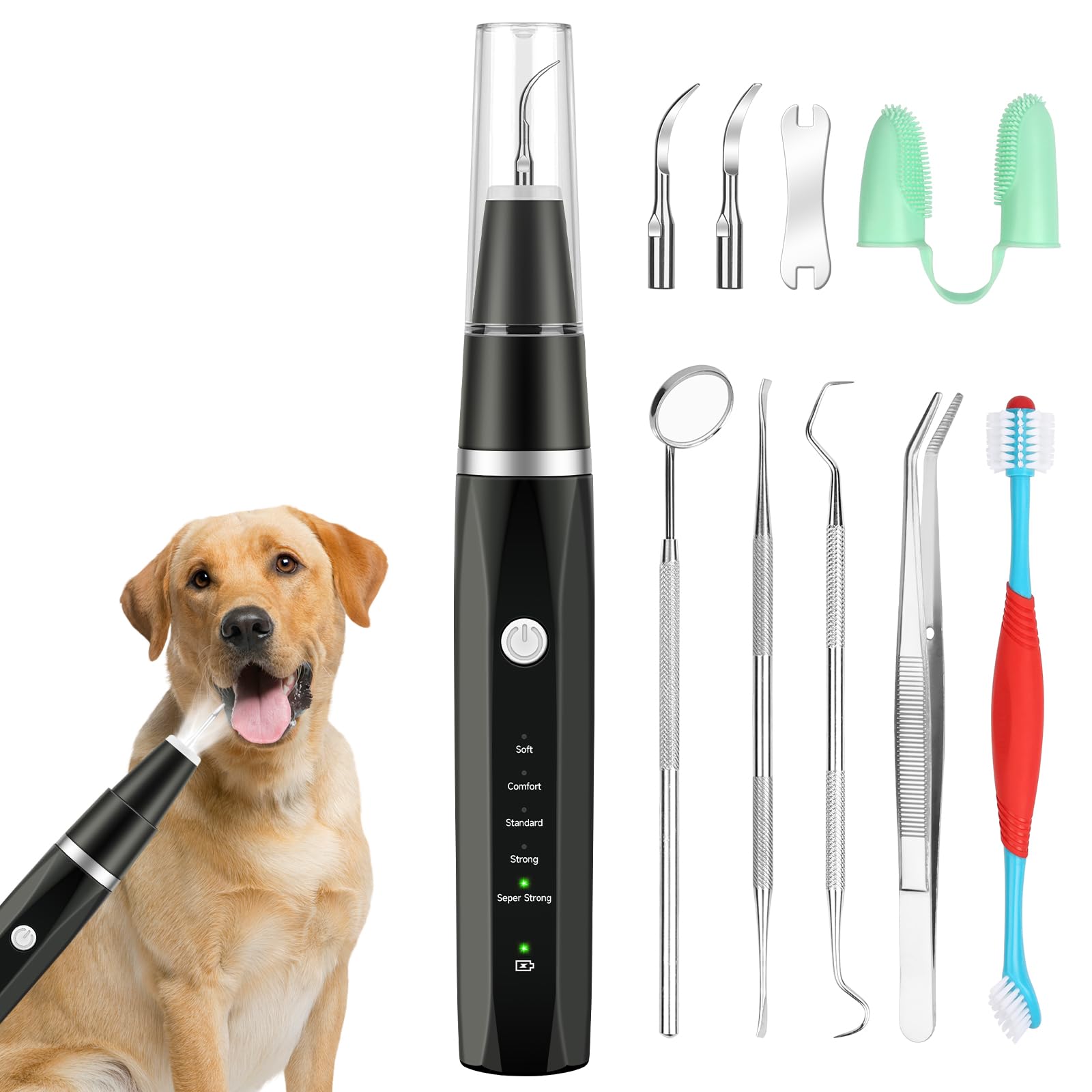 Amazon.com: Pet Ultrasonic Toothbrush Cleaner Kit, Plaque&Tartar&Stains ...