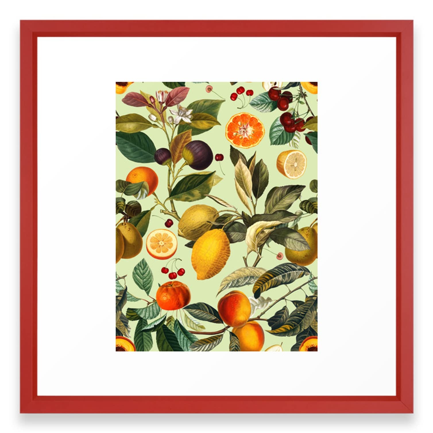Vintage Fruit Vector