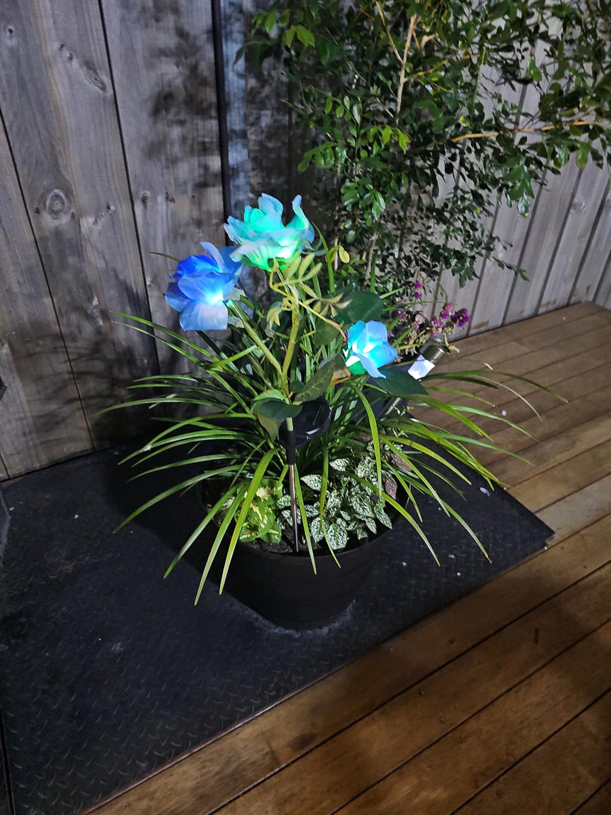 Forlivese Solar Rose Lights Outdoor Solar Garden Stake Lights, 2 PCS ...