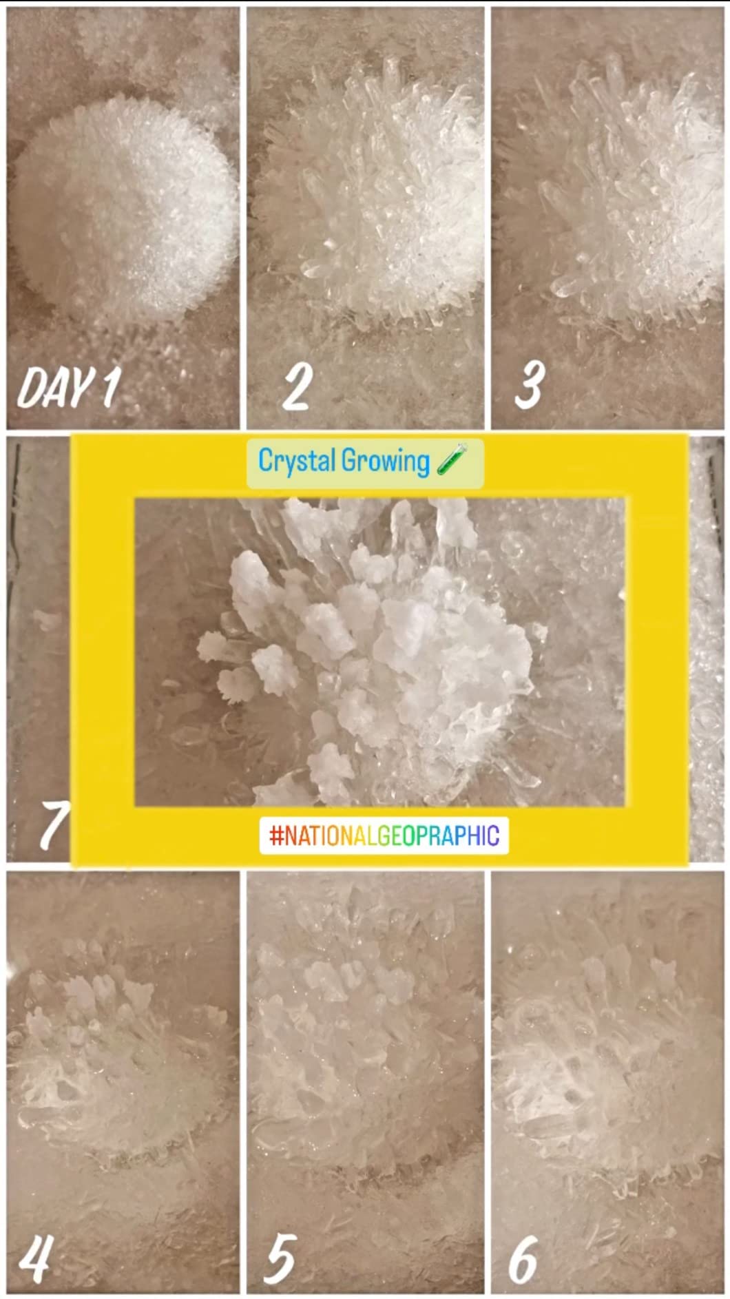 $4/mo - Finance NATIONAL GEOGRAPHIC Purple Crystal Growing Lab - DIY ...