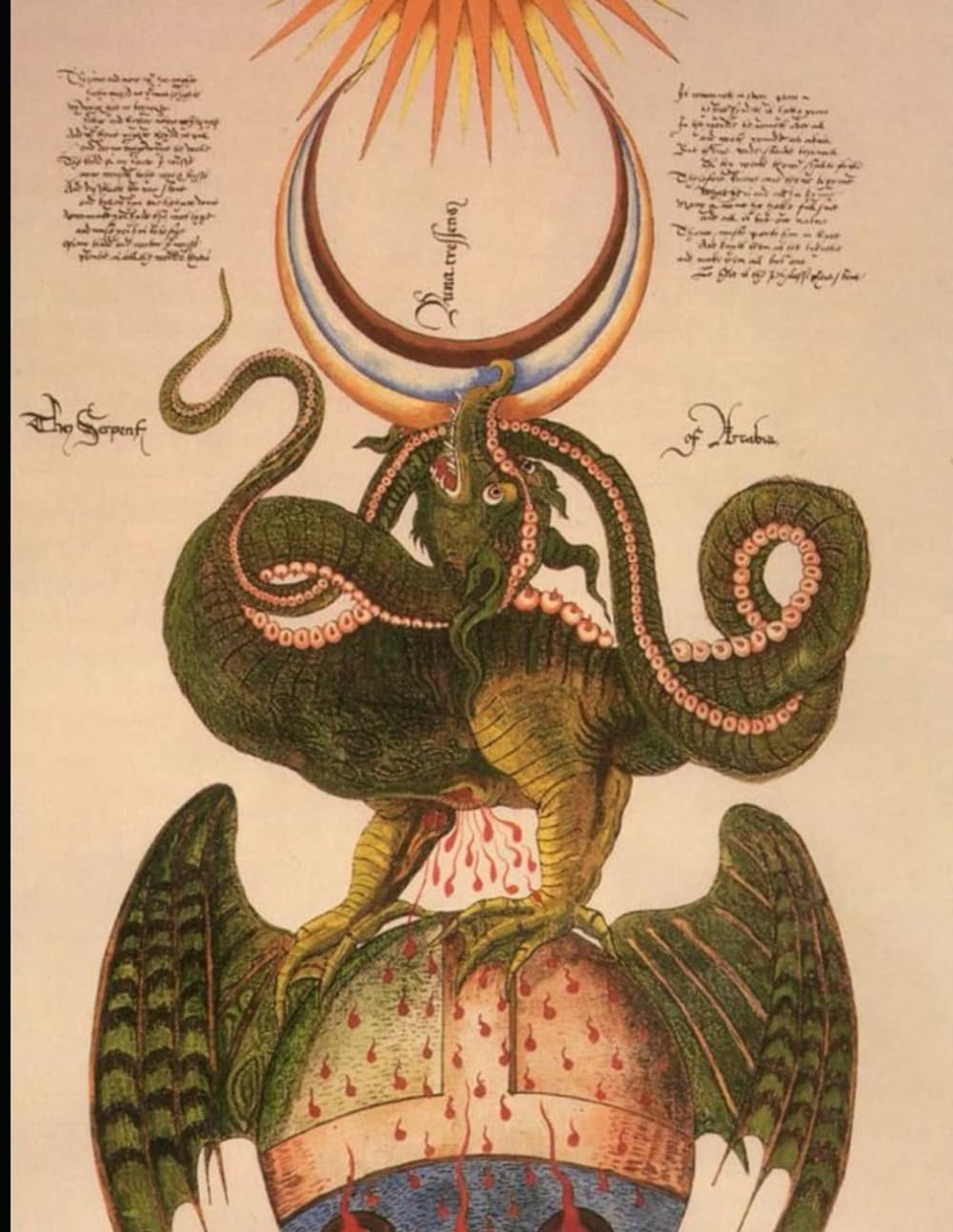 The Voynich Manuscript: The Complete Esoteric Codex (Codex Collection): Bacon, Roger, Dee, John ...