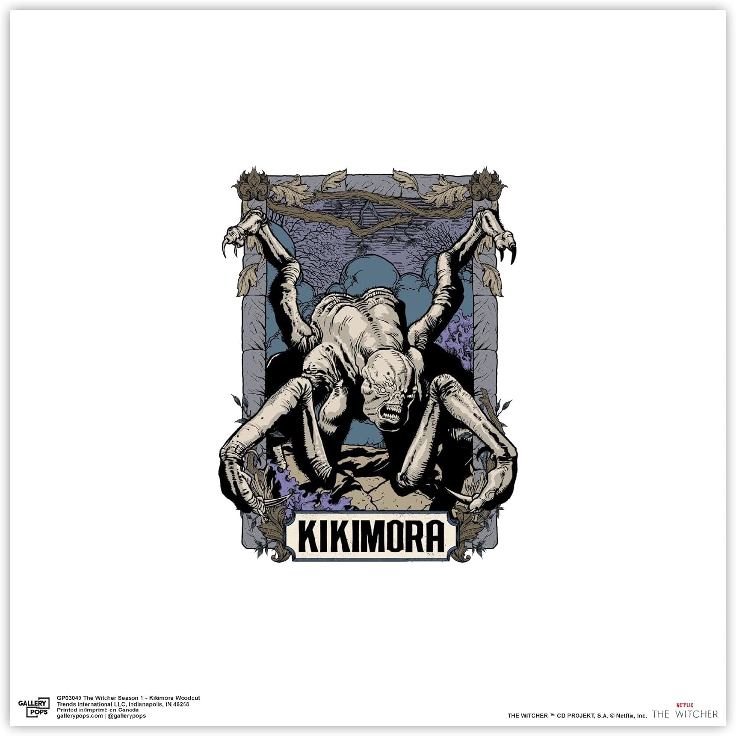 Amazon.com: Trends International Gallery Pops The Witcher Season 1 ...