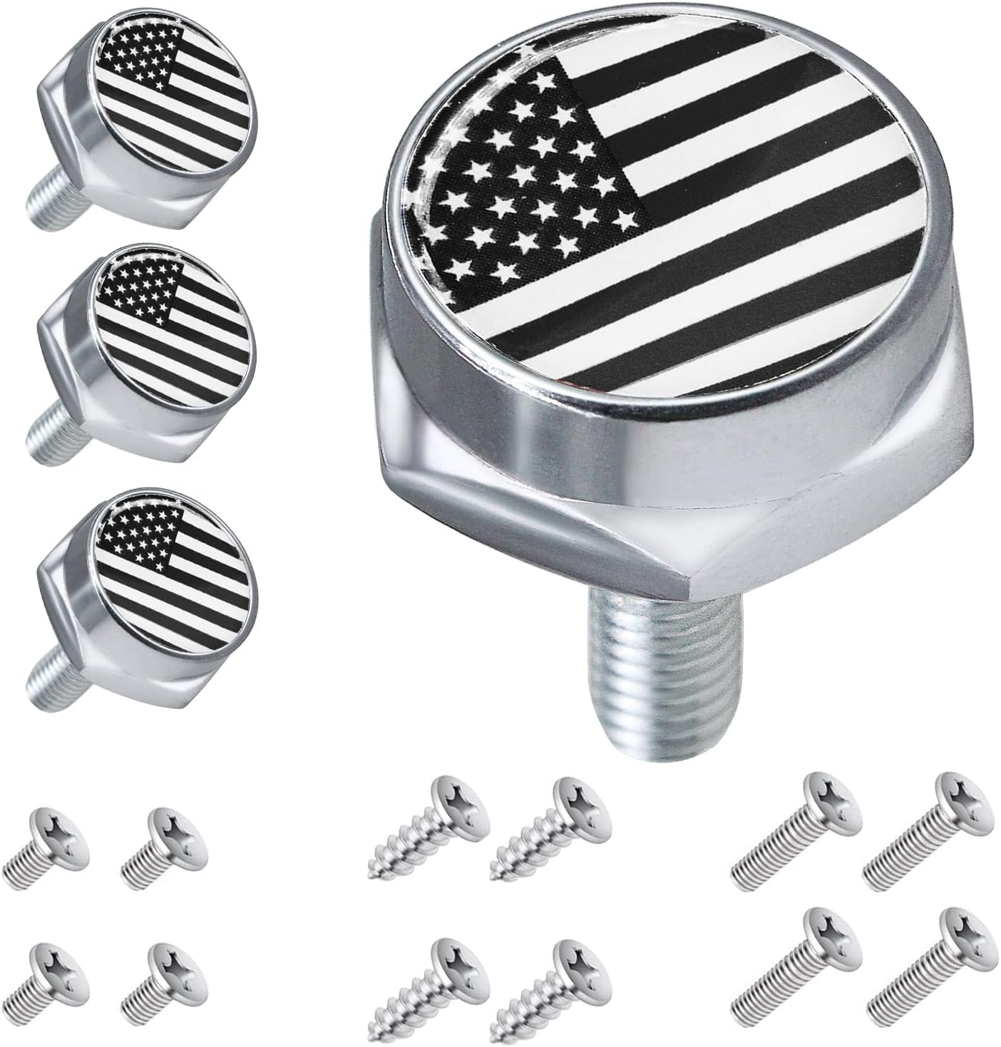 Amazon.com: License Plate Screws Fastener Kit, 4 PCS License Plate ...