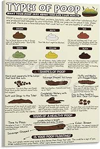 Amazon.com: Generic Poop Chart Bristol Stool Chart Poster Stool Chart ...